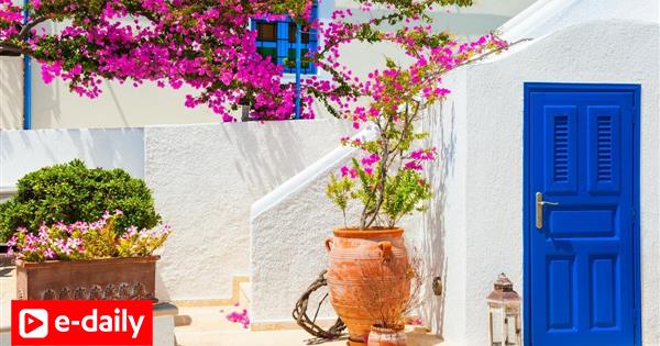 Τα 4 λάθη που ξεραίνουν τα φυτά σου – και πώς να τα διορθώσεις χωρίς πανικό | E-Daily.gr