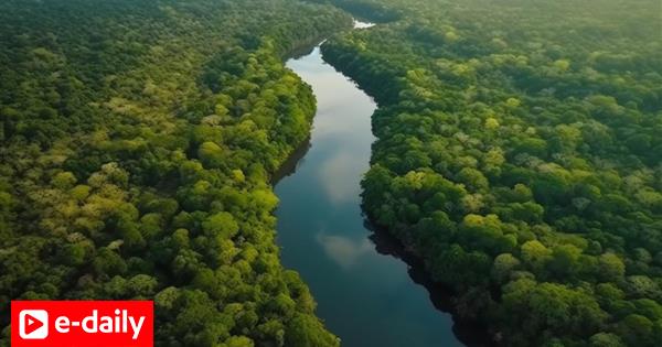 Το ζευγάρι που φύτεψε 2,7 εκατομμύρια δέντρα μέσα σε 20 χρόνια (video) | E-Daily.gr